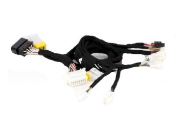 Specialty: T-Harnesses