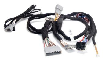 Specialty: T-Harnesses