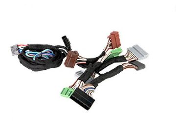 Specialty: T-Harnesses